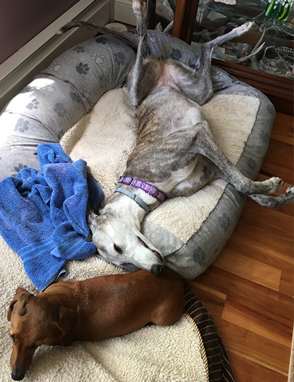 Before Your Appointment - Journey's End | End of Life Care | At Home ...